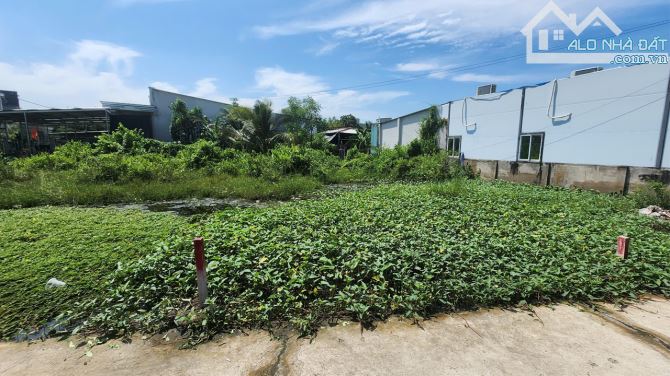 bán đất hẽm xe hơi đường Tam Thôn Hiệp, DT 92.3m2, full thổ cư, giá 1. ...