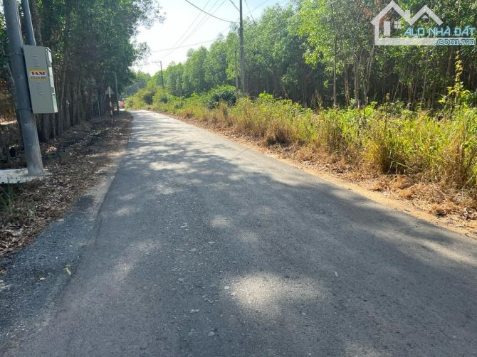 Bán gần 3 sào 4 tân hiệp có 2 mặt tiền giá mềm - 14049658