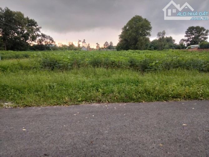 Bán đất Tóc Tiên Phú Mỹ Vũng Tàu, 5285M2, 404M Thổ cư, mặt tiền siêu ...