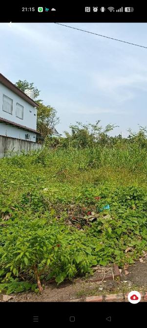 LÔ ĐẤT SIÊU PHẨM HÀ DUY PHIÊN BÌNH MỸ CỦ CHI-1167M2- THỔ 944M2- HẺM XE ...