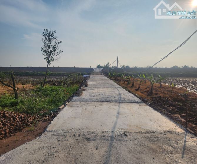 5 Mẫu đất mặt đường liên xã 20m đối diện khu công nghiệp Win- Eco Masan ...